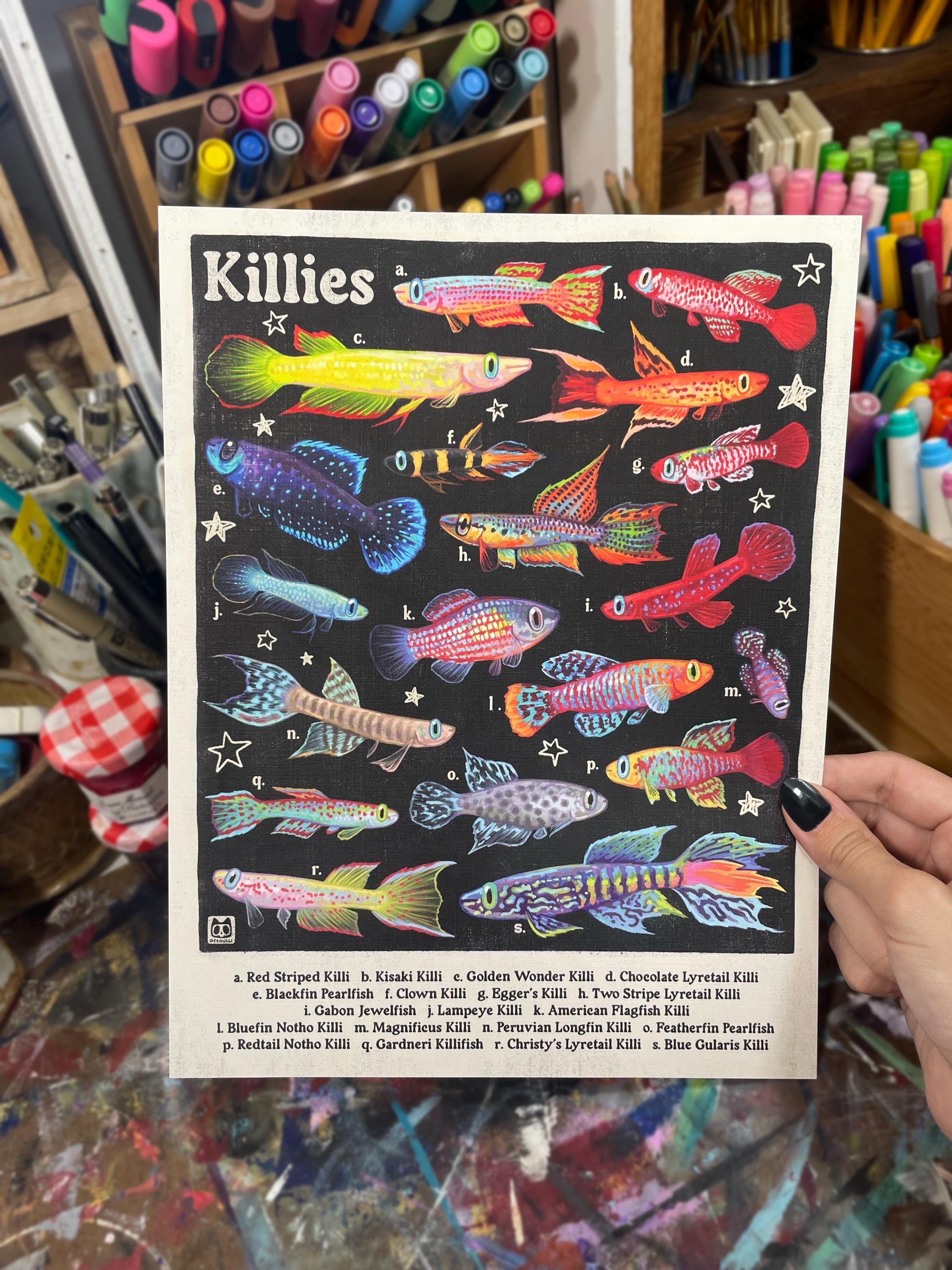 Killifish Poster 8.5x11 – Artoulli